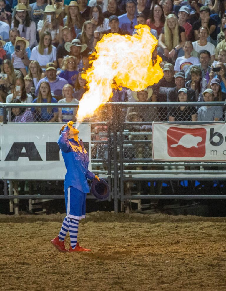 Shows – Ramona Rodeo