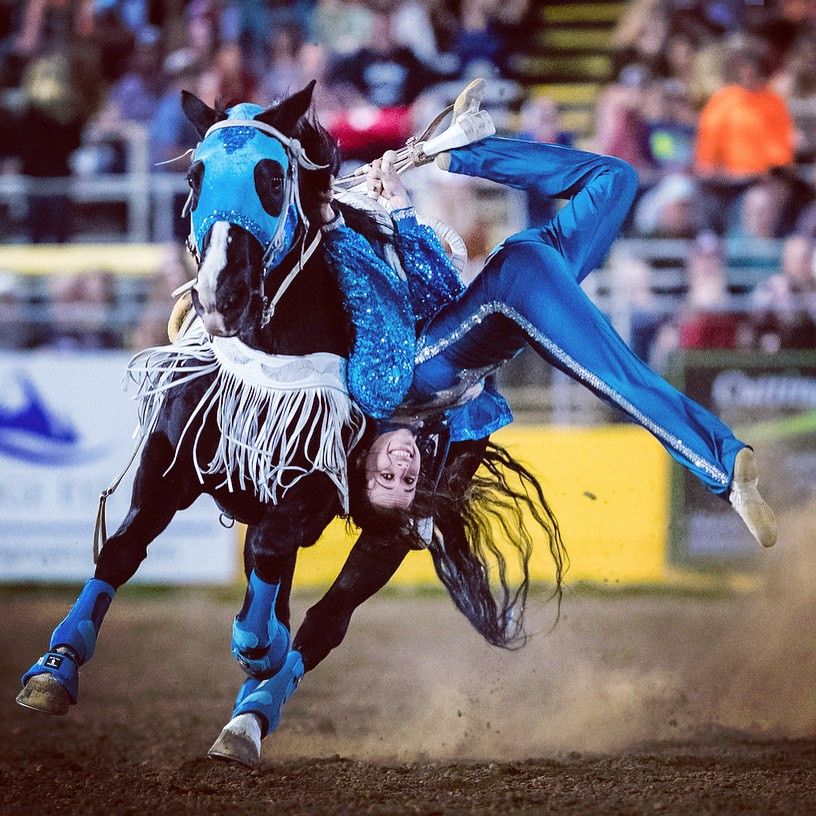 Shows – Ramona Rodeo