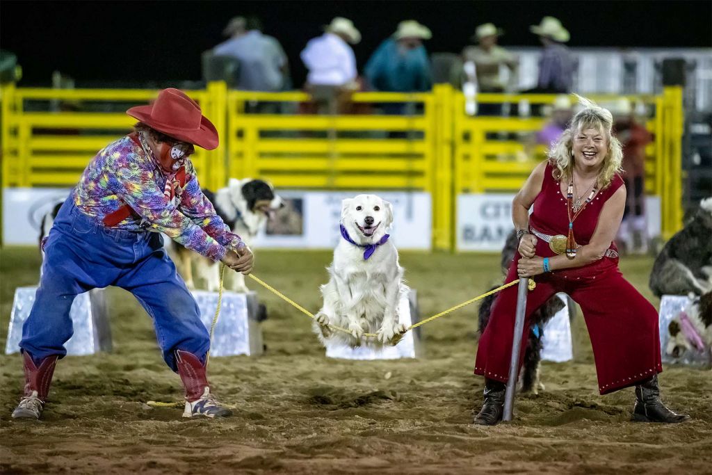 Shows – Ramona Rodeo