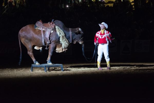 Shows – Ramona Rodeo